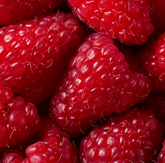 Recettes et occasions | Metro