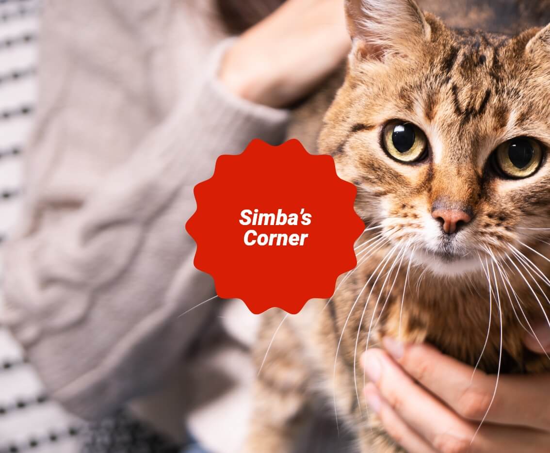 Simba's Corner | Metro